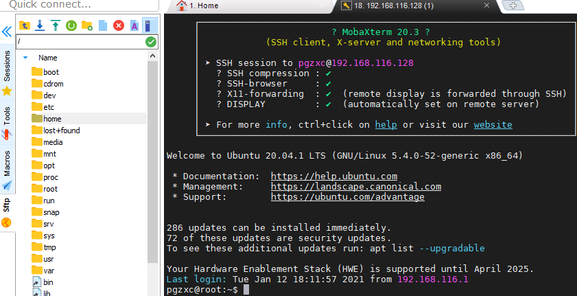 Ubuntu开发之——Ubuntu20.04.1开启SSH和Telnet服务 | PGzxc